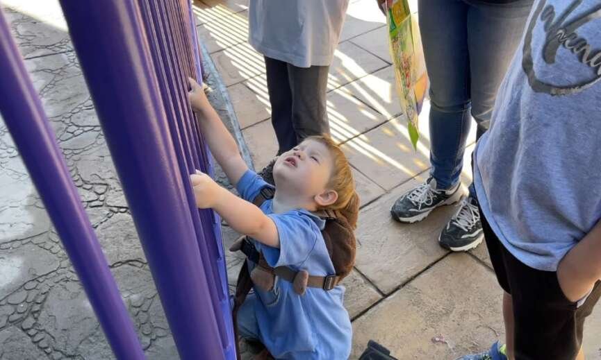 Autism and Developmental Milestones - Early Signs